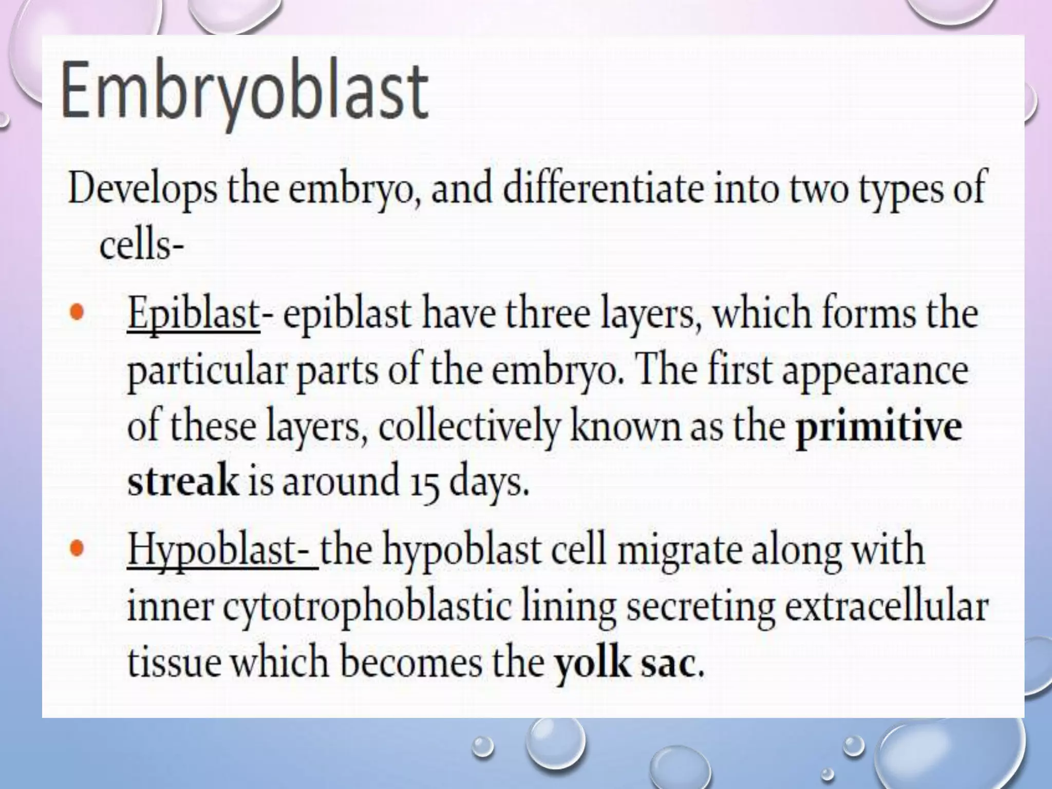 Fetal development stages | PPT