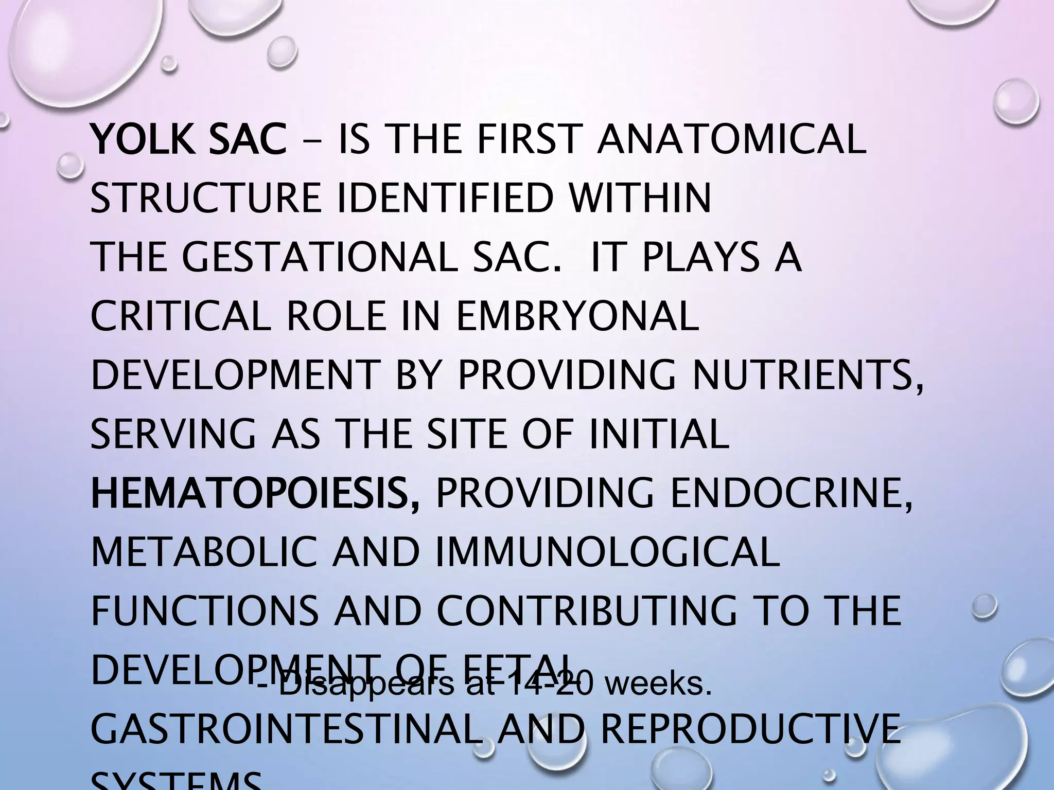 Fetal development stages | PPT
