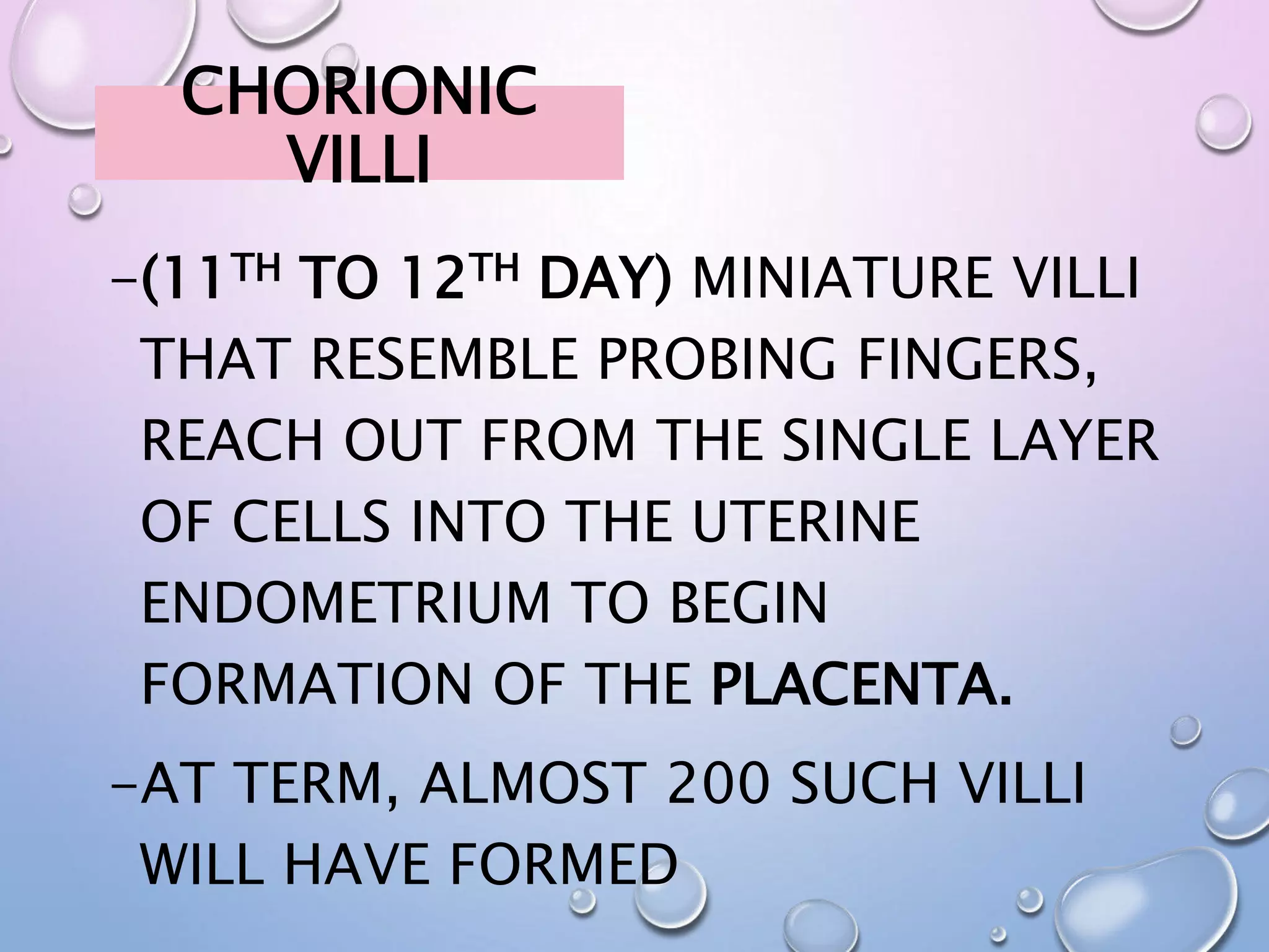 Fetal development stages | PPT