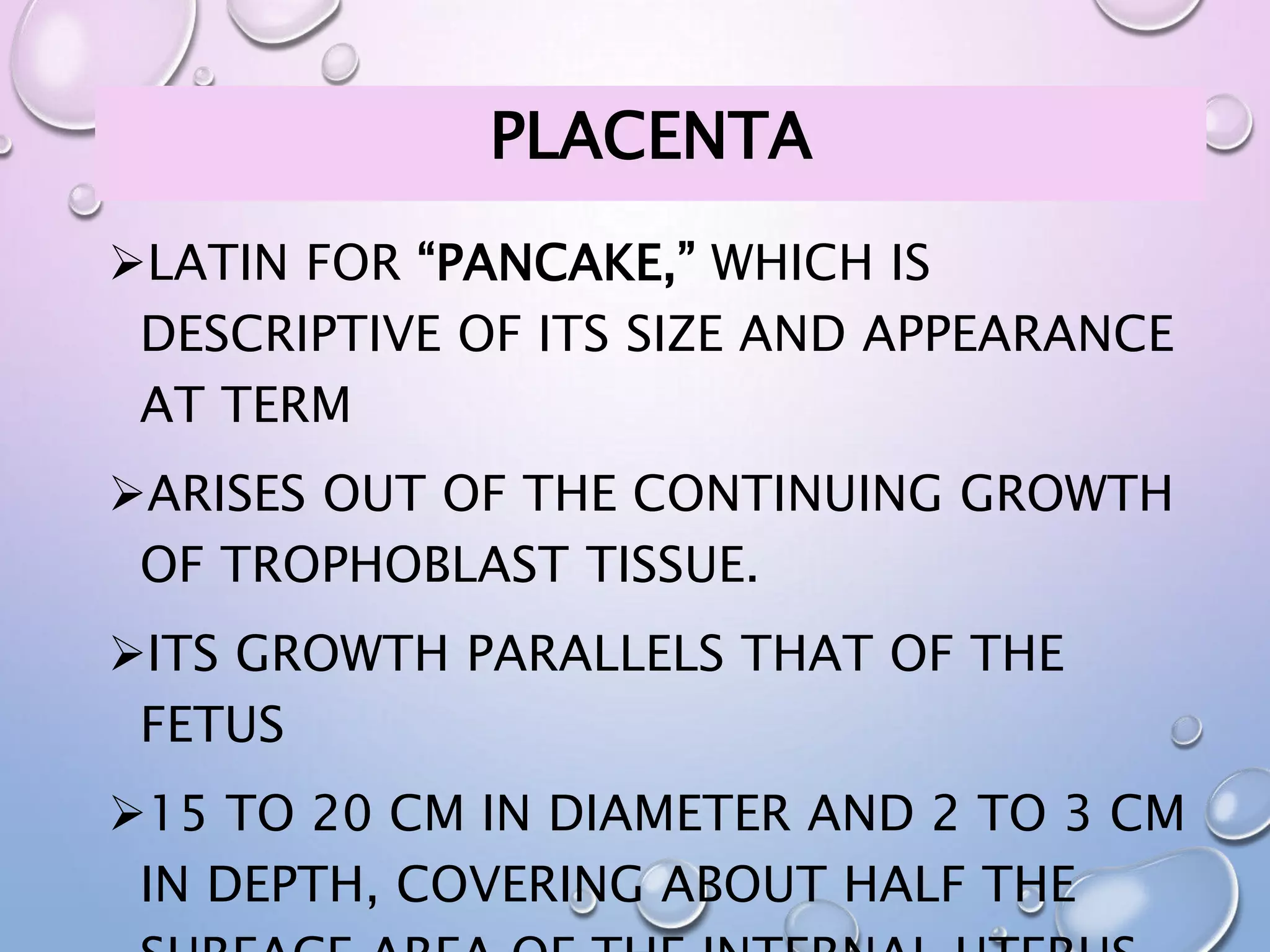Fetal development stages | PPT