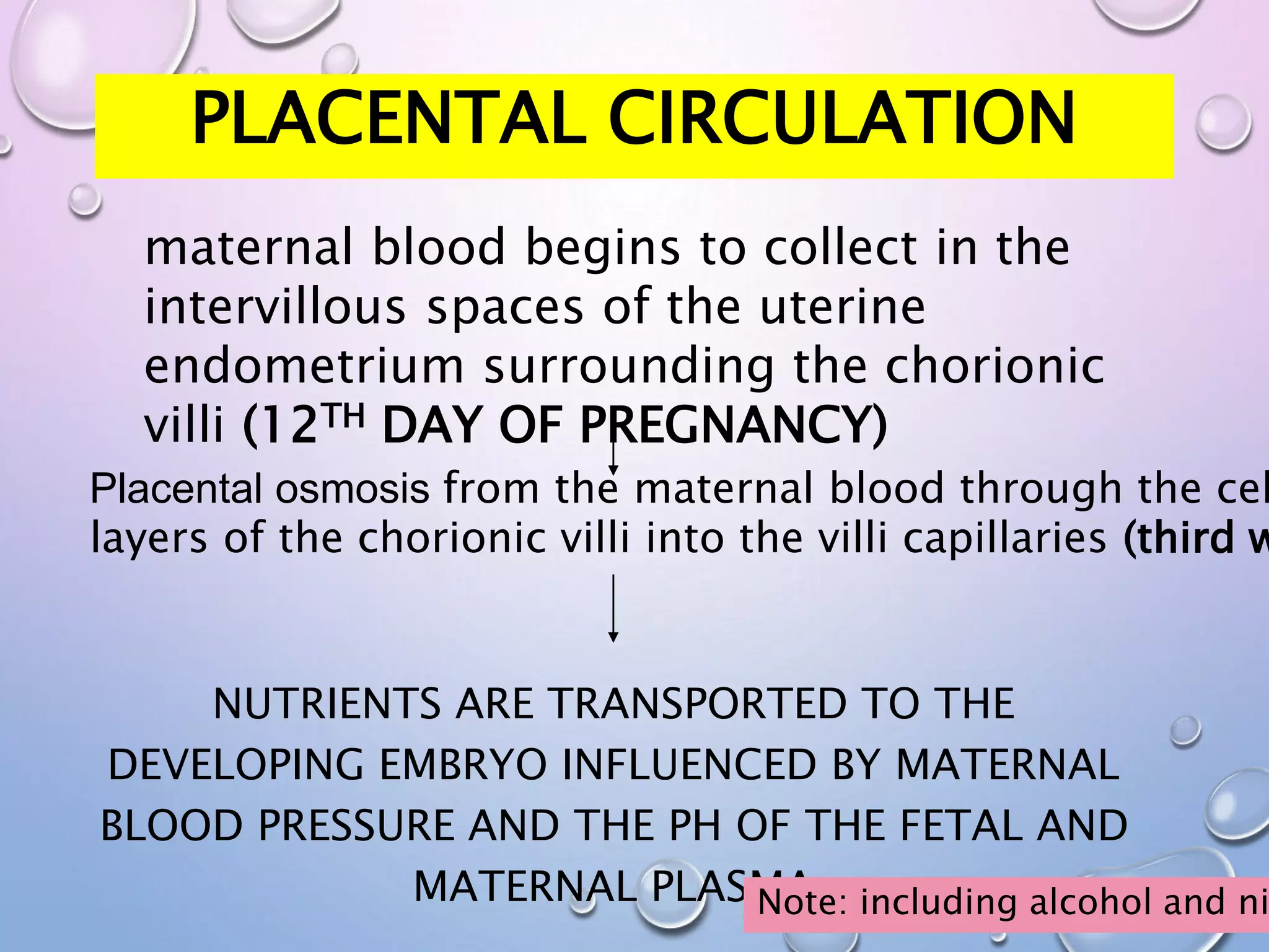Fetal development stages | PPT