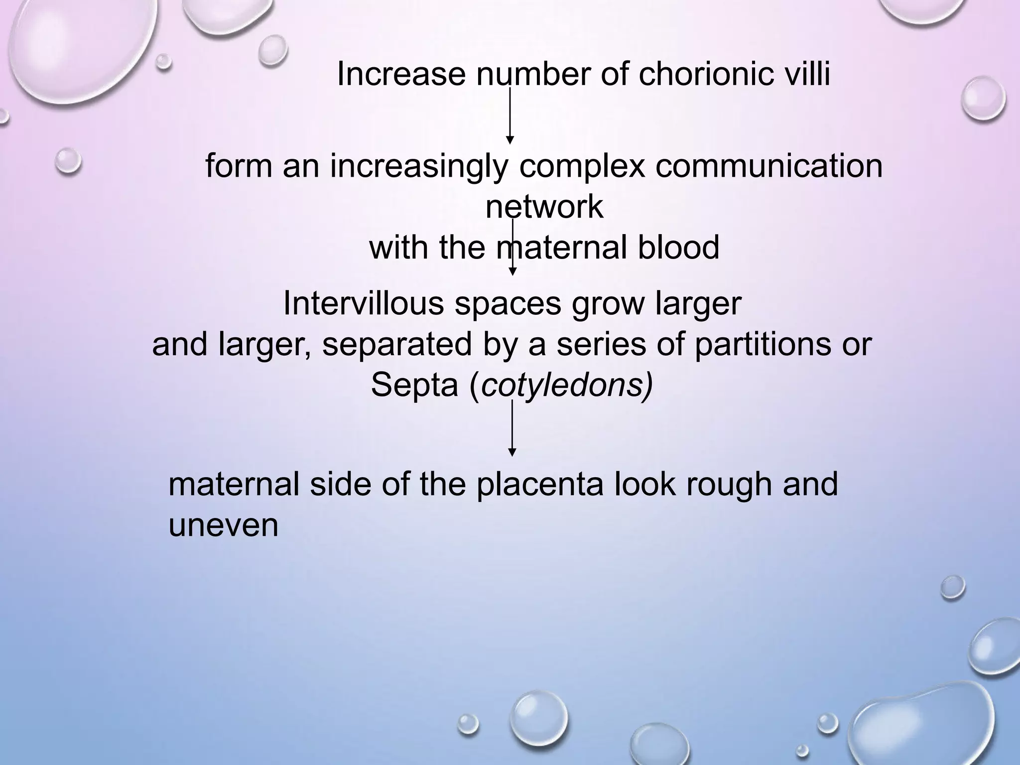 Fetal development stages | PPT