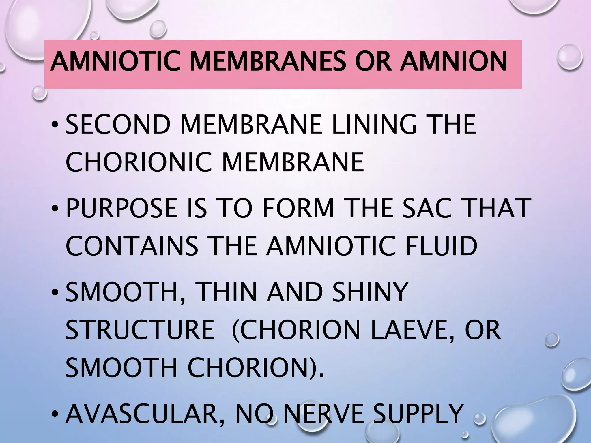 Fetal development stages | PPT