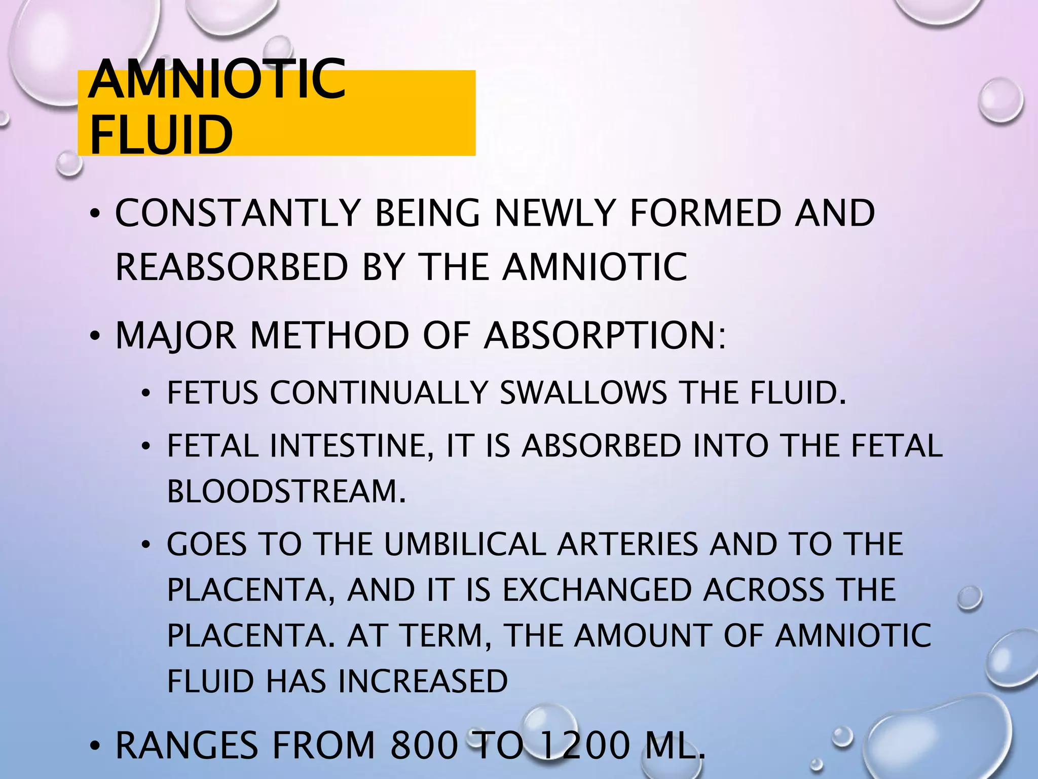 Fetal development stages | PPT