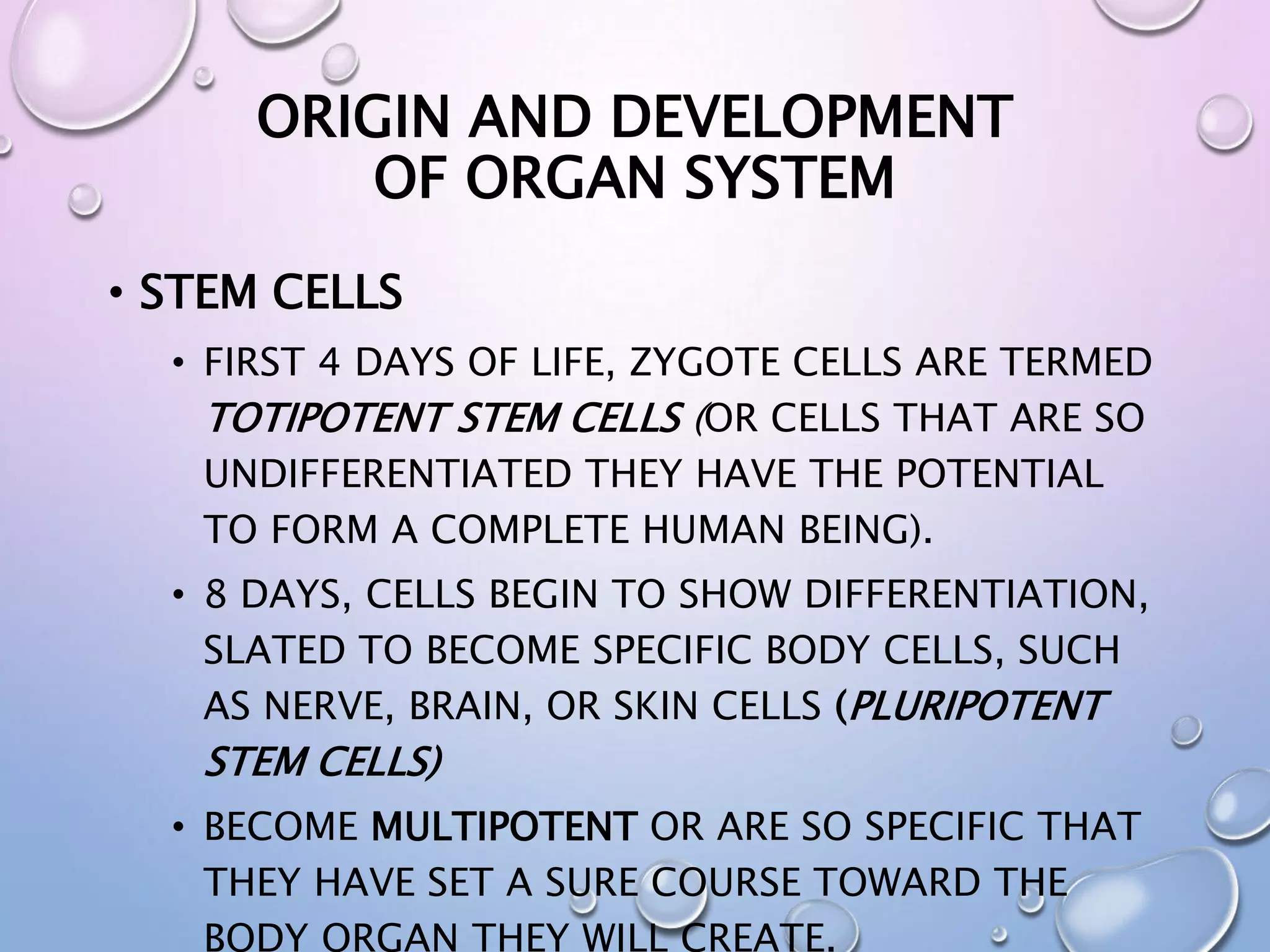 Fetal development stages | PPT