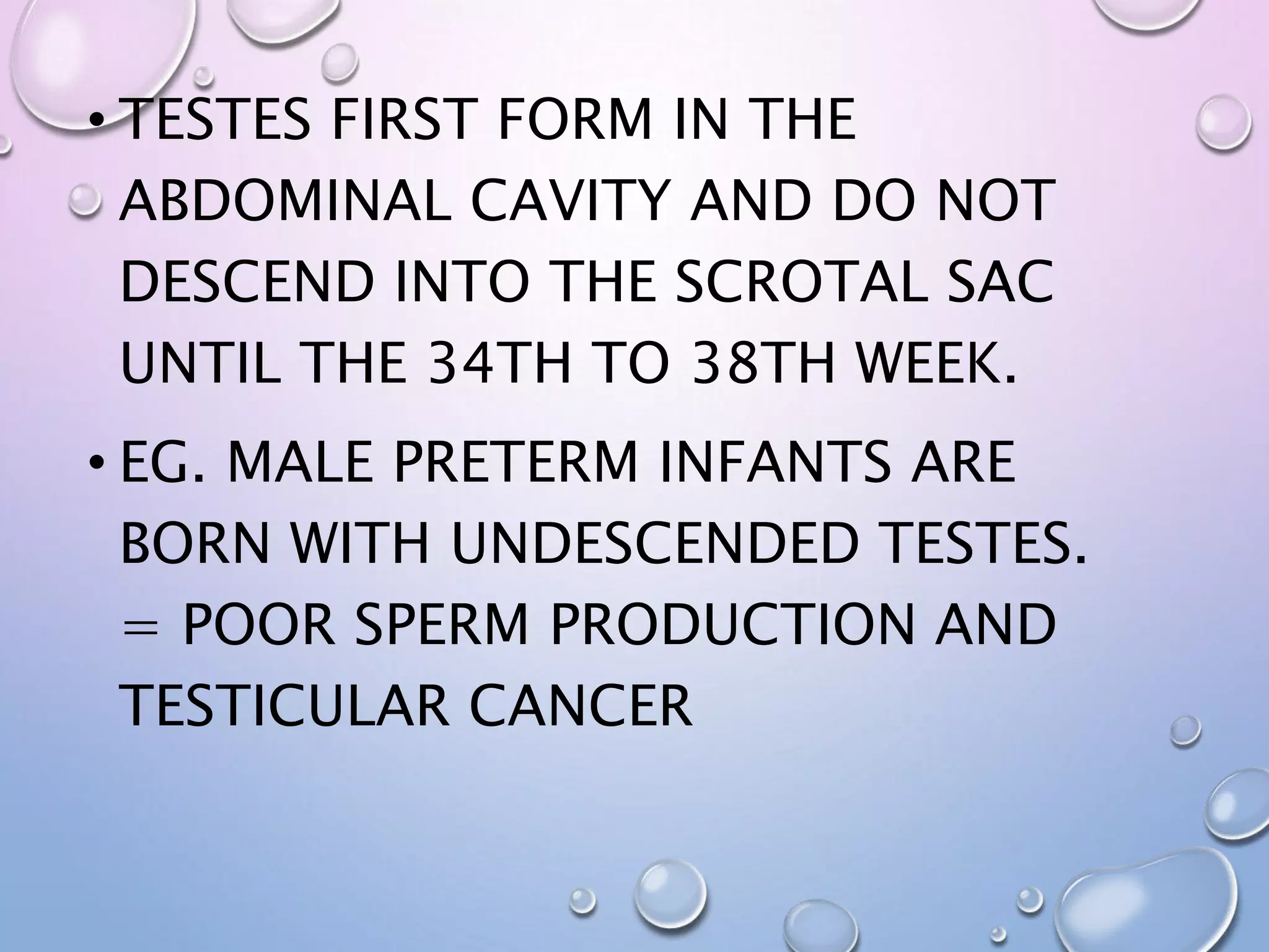 Fetal development stages | PPT