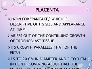 Fetal development stages | PPT