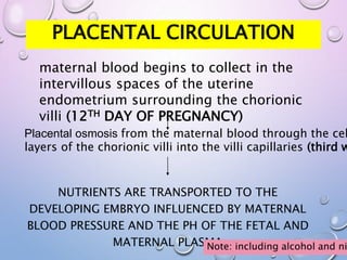 Fetal development stages | PPT
