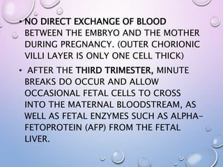 Fetal development stages | PPT