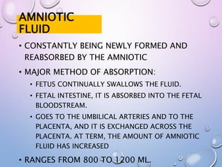 Fetal development stages | PPT