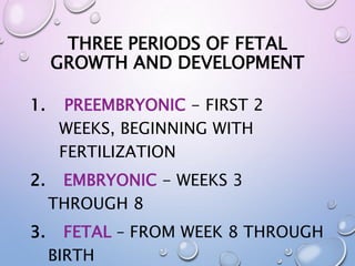 Fetal development stages | PPT