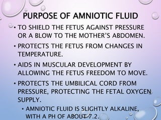 Fetal development stages | PPT