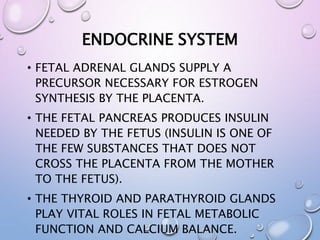 Fetal development stages | PPT