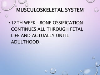 Fetal development stages | PPT