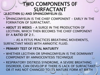Fetal development stages | PPT