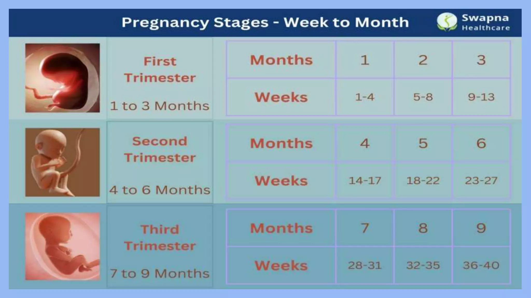 Fetal Development Week by Week | PPTX