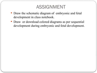 FETAL DEVLOPMENT.pptx pppppppppppppppppp | PPTX