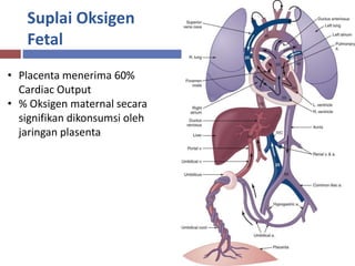 Fetal distress dan asfiksia neonatorum | PPTX