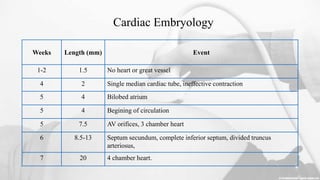 FETAL ECHOCARDIOGRAPHY-006.pptx