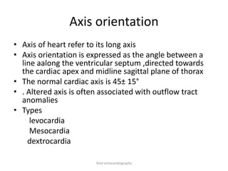 fetal echocardiography ppt.pptx........... | PPTX