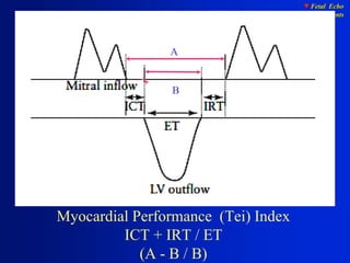 Fetal echo measurments | PPTX