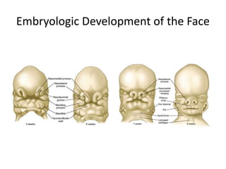 Fetal face and necK | PPTX