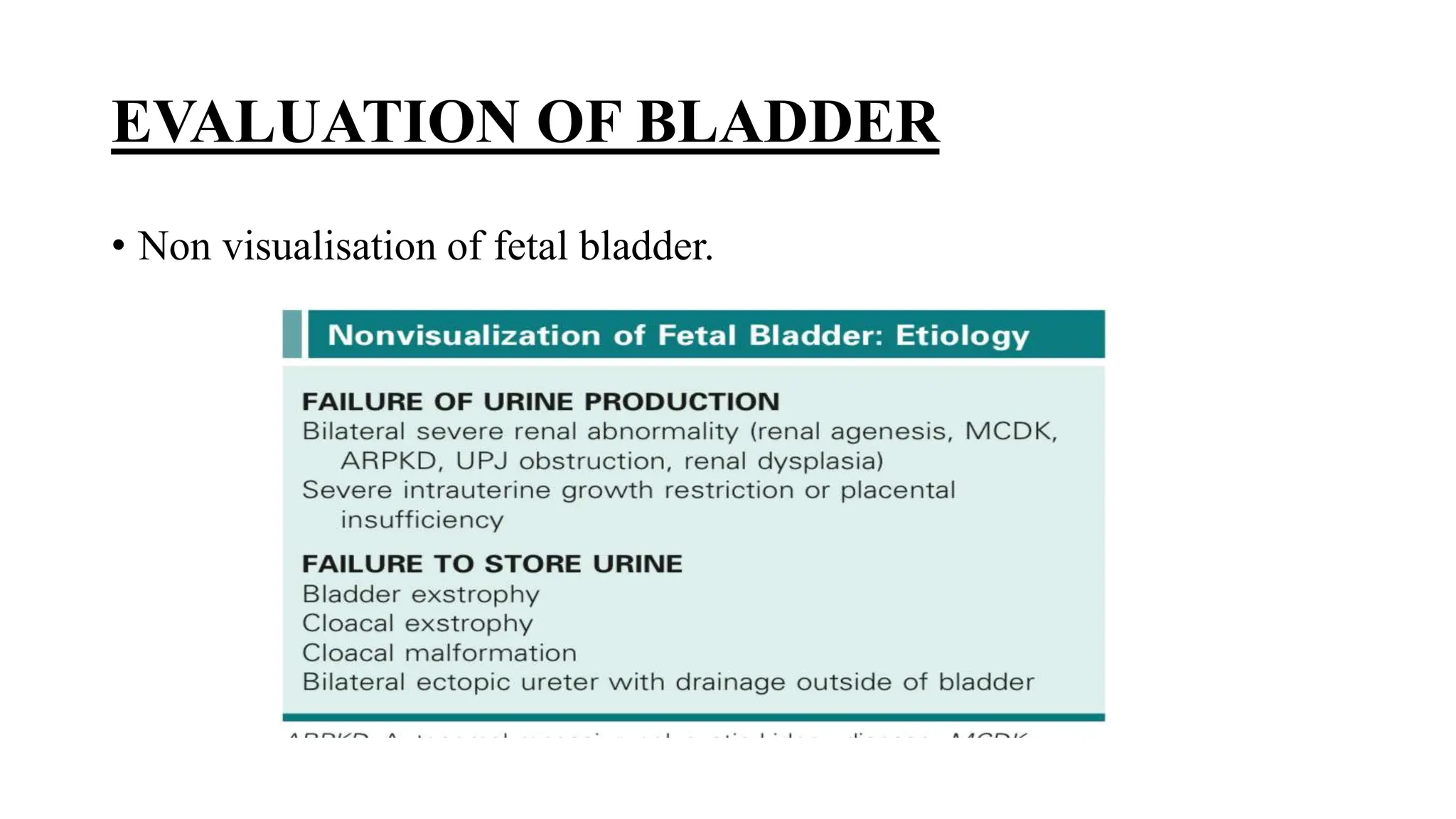 Radiology of Fetal genitourinary tract.pptx