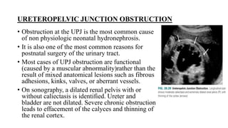 Radiology of Fetal genitourinary tract.pptx