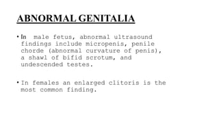 Radiology of Fetal genitourinary tract.pptx