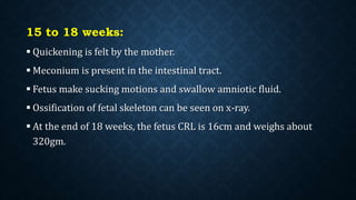 Fetal growth and development | PPTX