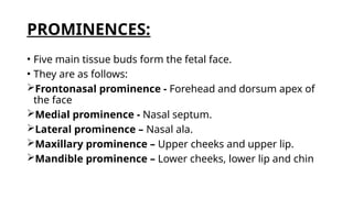 fetal head and neck imaging and spotters | PPTX