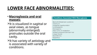 fetal head and neck imaging and spotters | PPTX