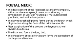 fetal head and neck imaging and spotters | PPTX