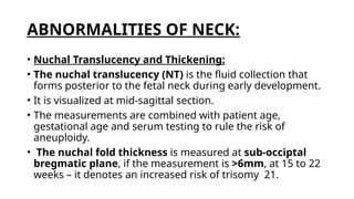 fetal head and neck imaging and spotters | PPTX