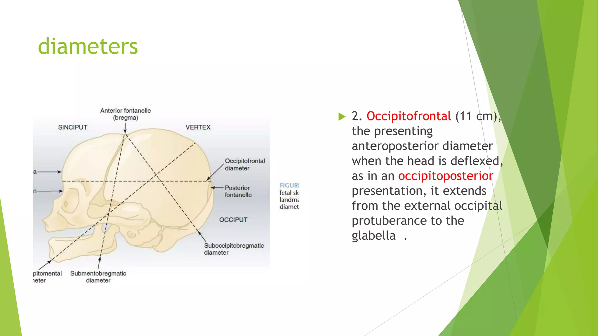 Fetal head diameters | PPTX