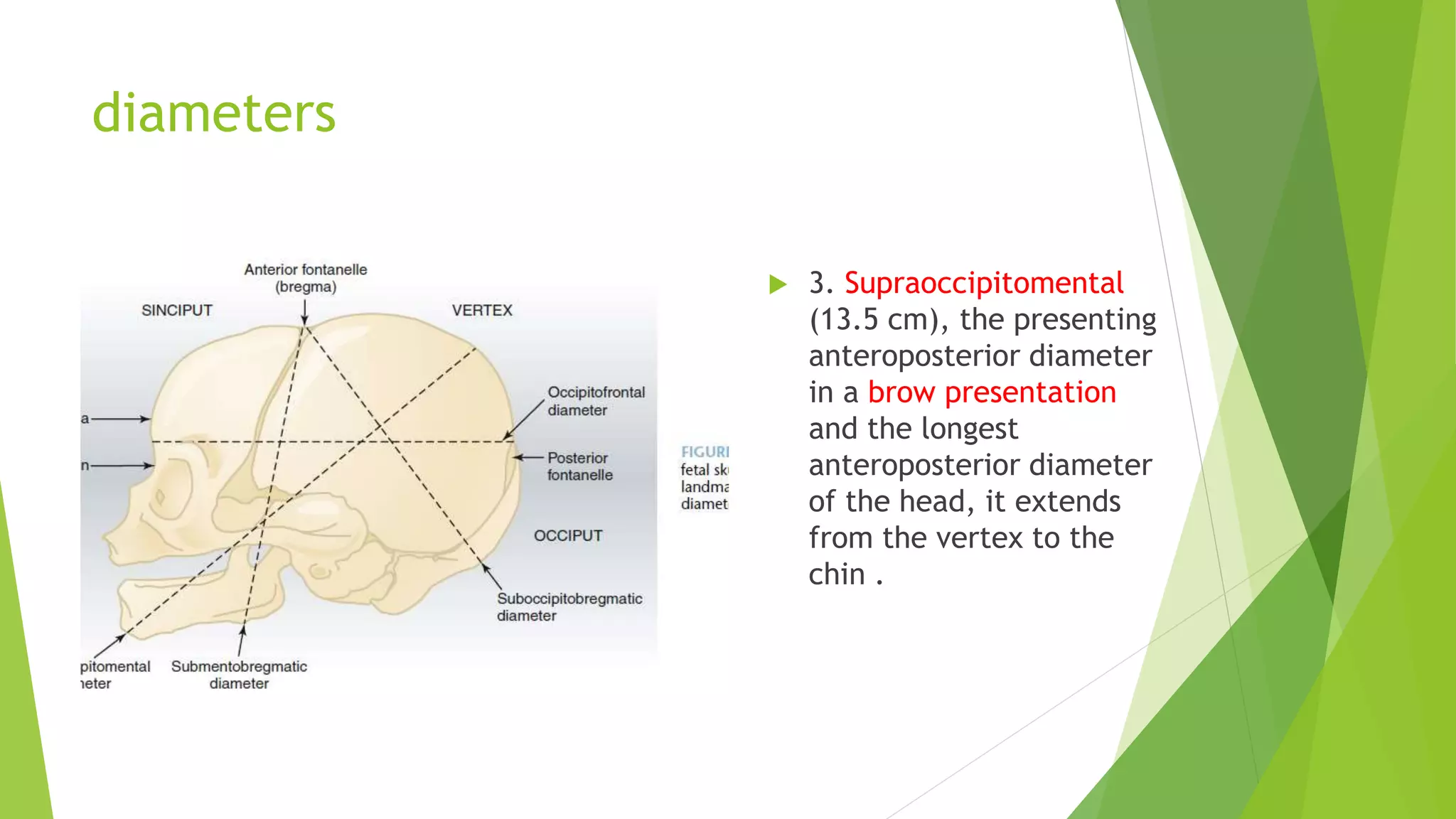 Fetal head diameters | PPTX
