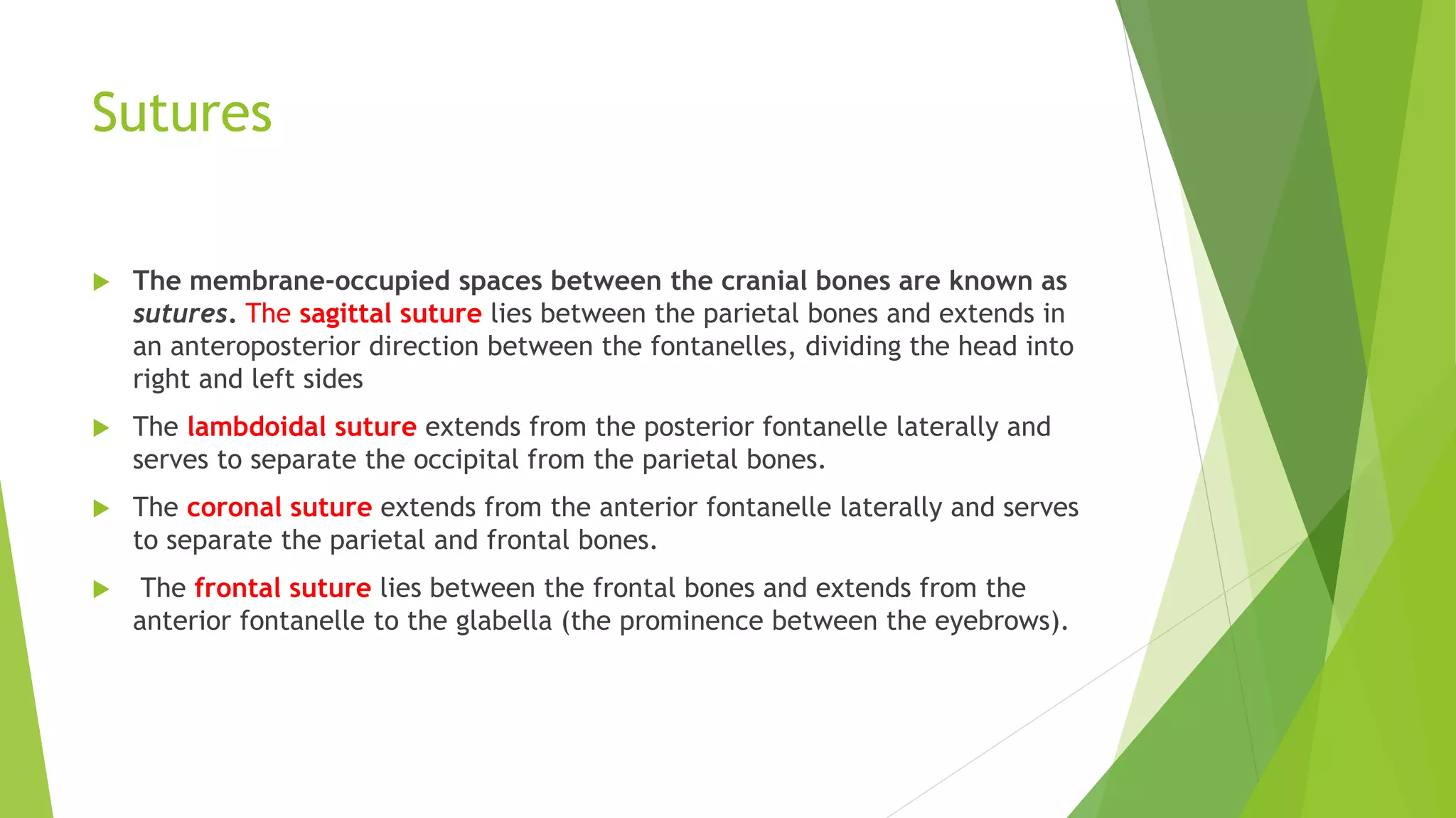 Fetal head diameters | PPTX