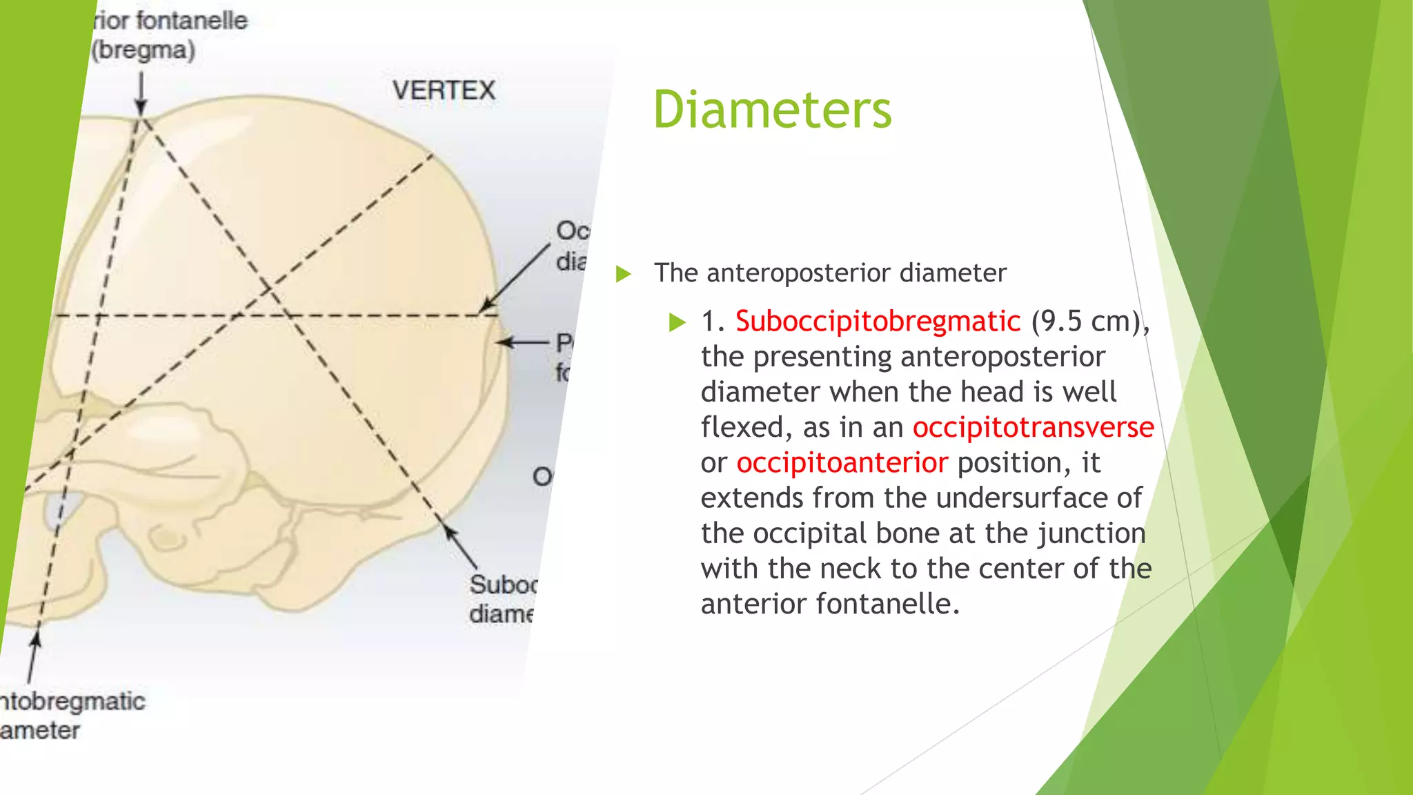 Fetal head diameters | PPTX