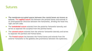 Fetal head diameters | PPTX