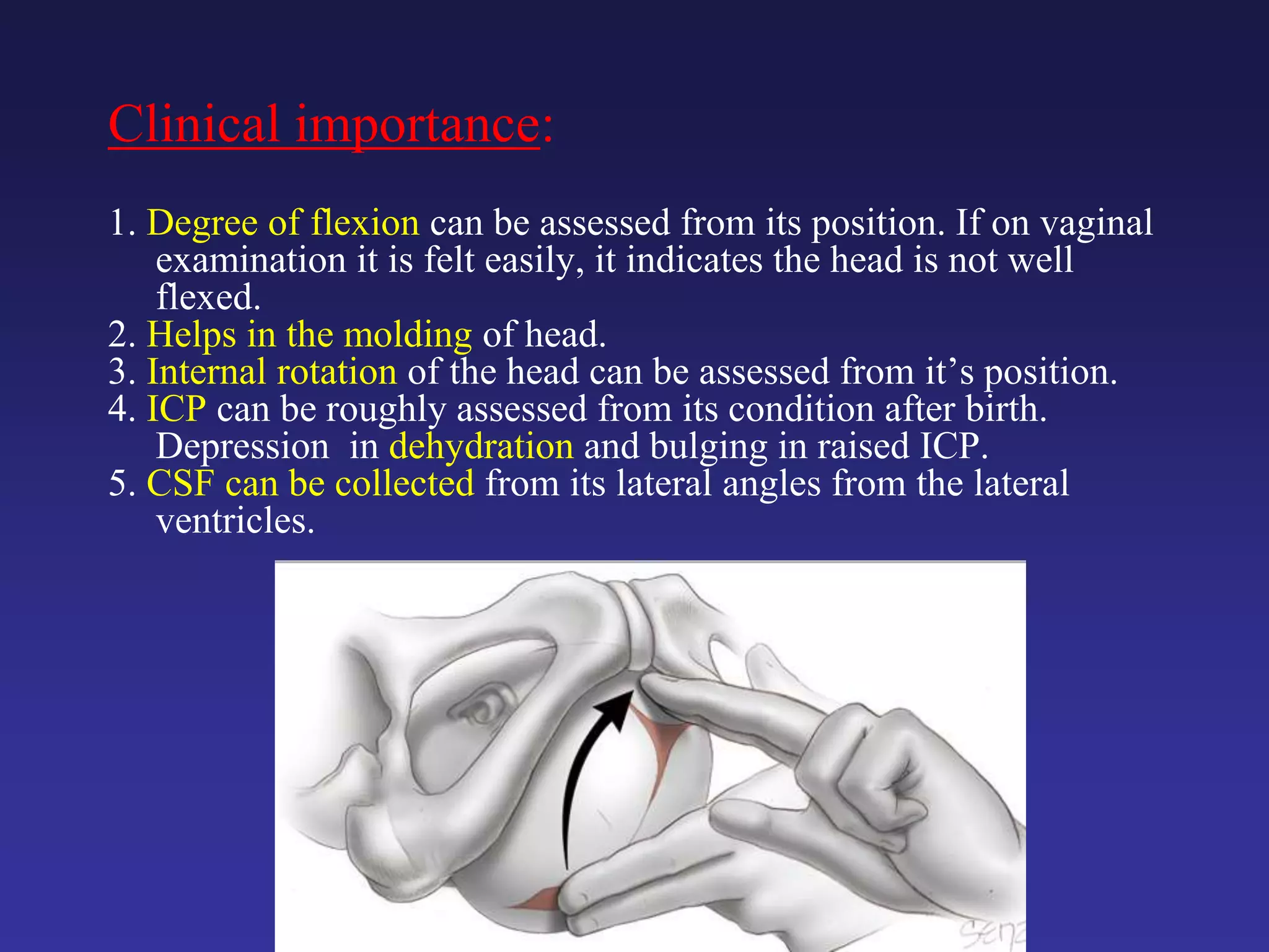 Fetal head, maternal pelvis & pelvimetry | PPTX