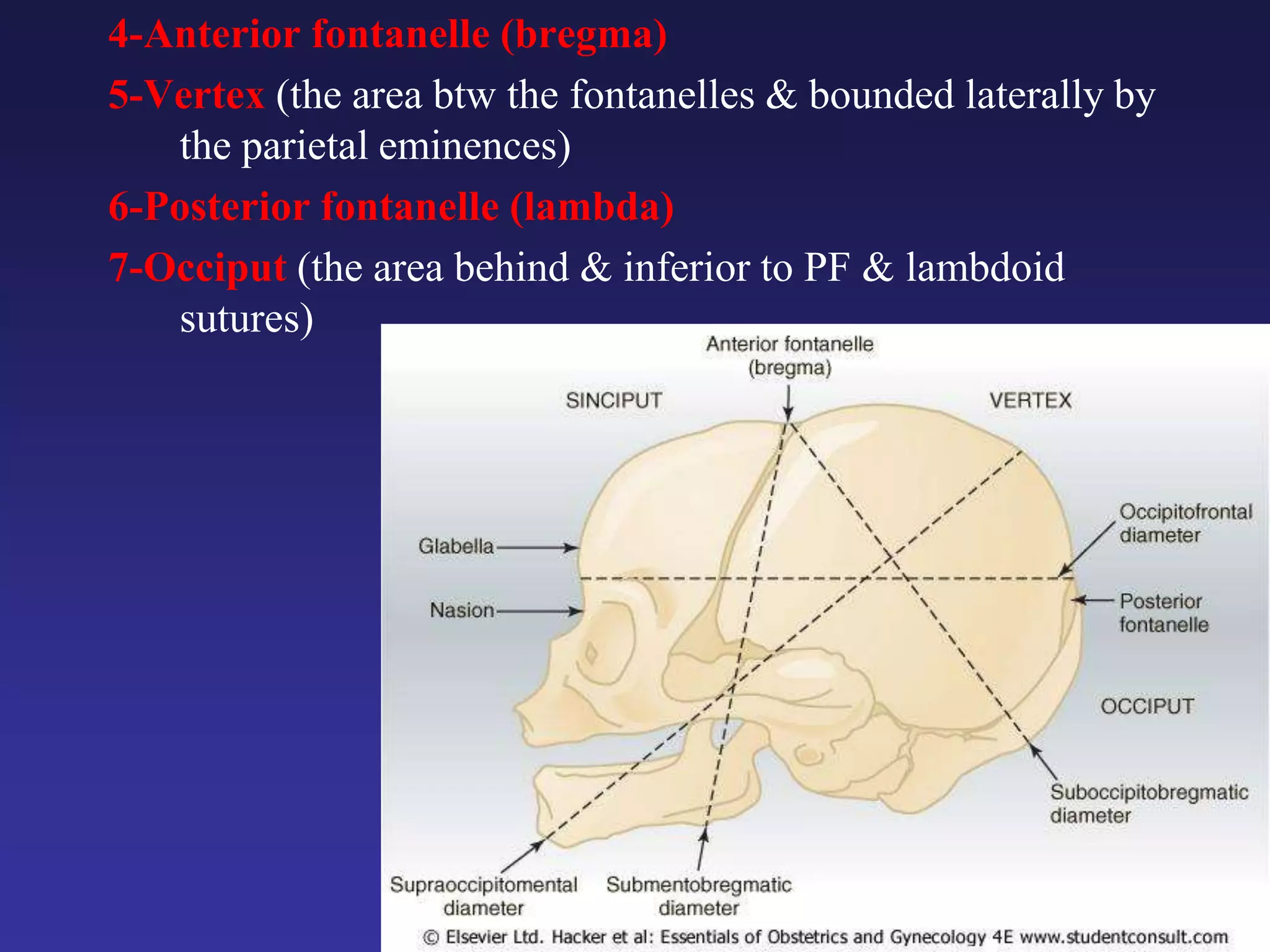 Fetal head, maternal pelvis & pelvimetry | PPTX