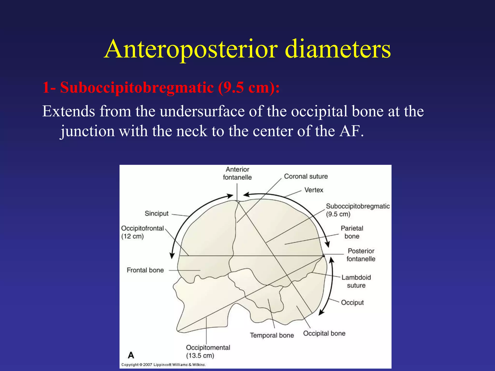 Fetal head, maternal pelvis & pelvimetry | PPTX