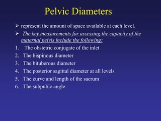 Fetal head, maternal pelvis & pelvimetry | PPT