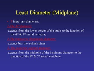 Fetal head, maternal pelvis & pelvimetry | PPT