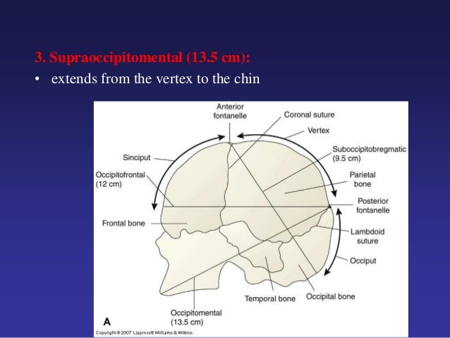 Brow Presentation Diameter