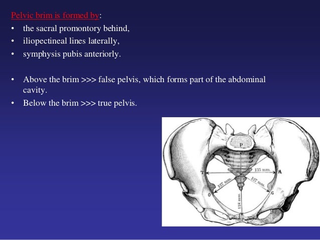 Fetal head, maternal pelvis & pelvimetry