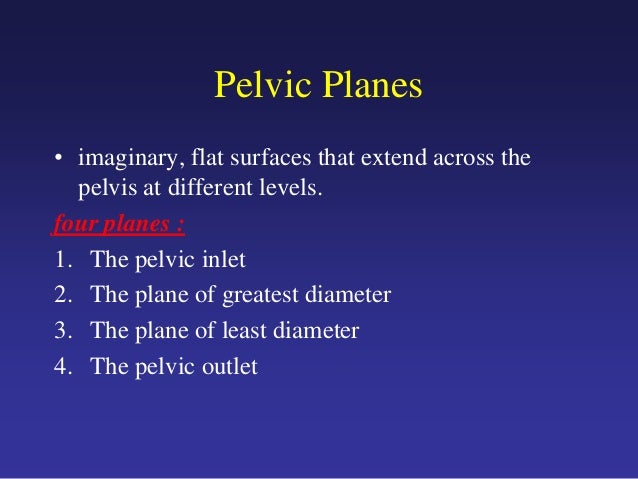 Fetal head, maternal pelvis & pelvimetry