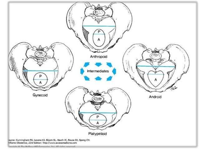 Fetal head, maternal pelvis & pelvimetry