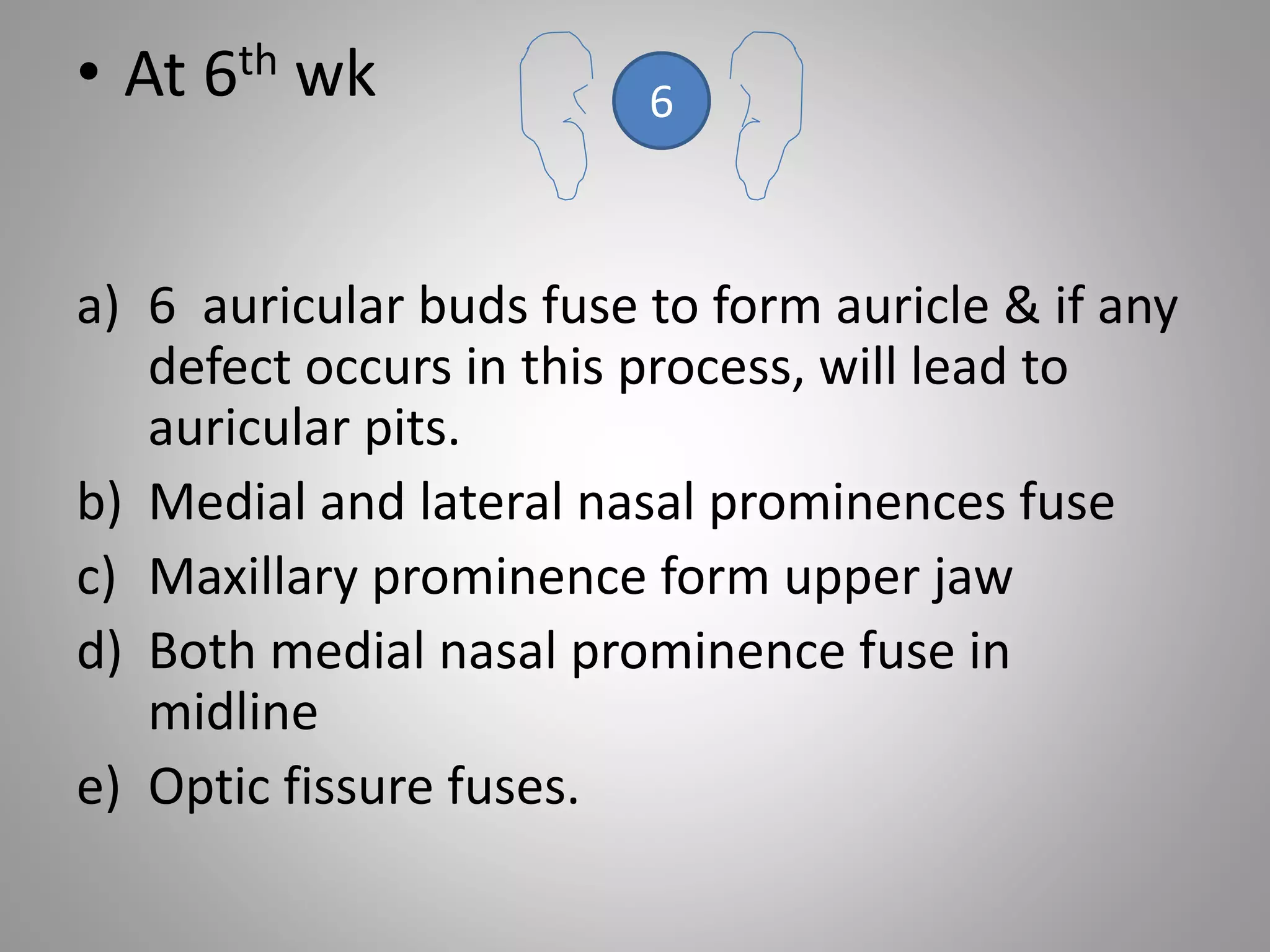 Fetal head & neck usg | PPTX