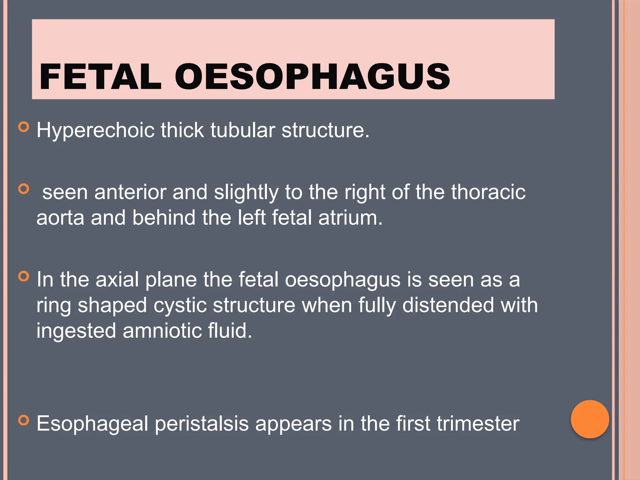 Congenital anomalies mixed appearance of fetal heart and chest.pptx